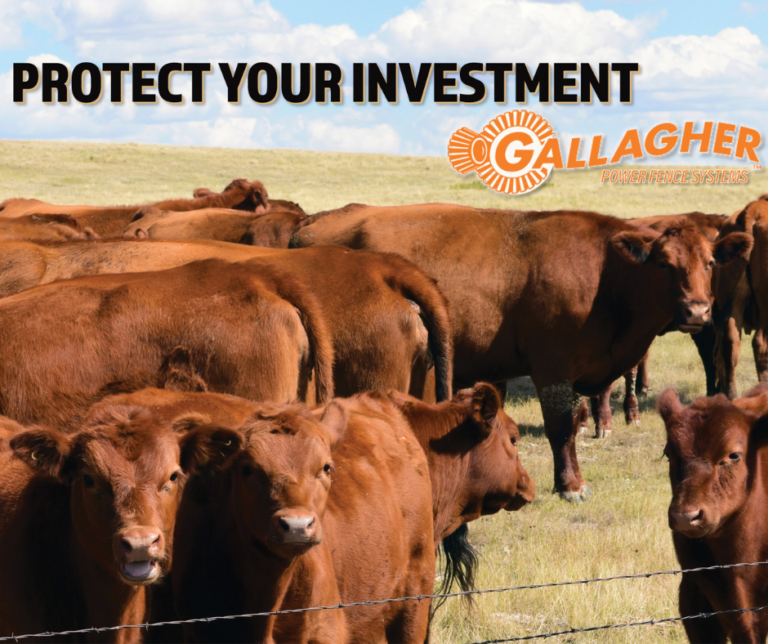 Gallagher Fencing Field Days - Farmers Co-op