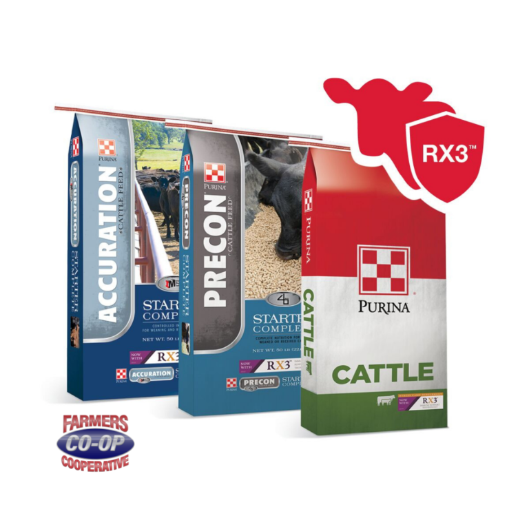 Purina Starter Cattle Feeds with RX3 - Farmers Co-op