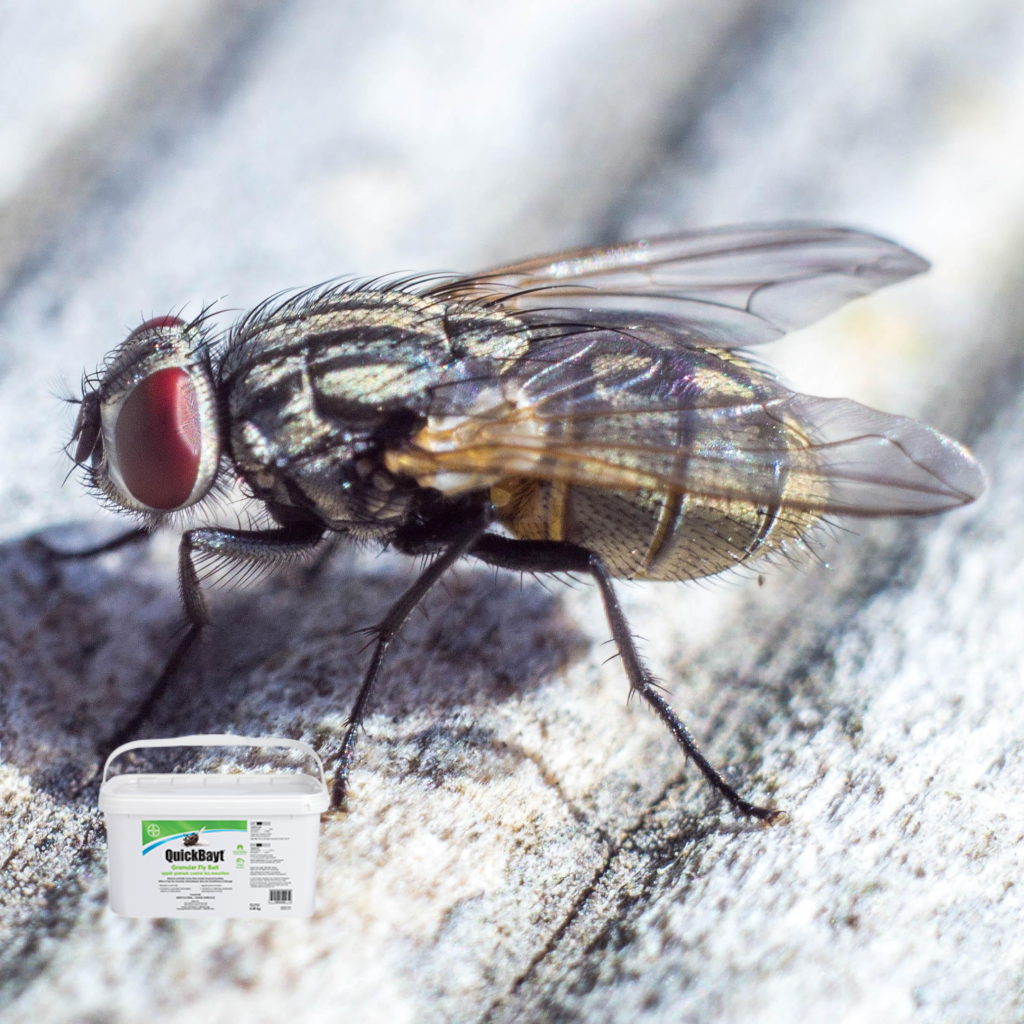 QuickBayt Fly Bait For Fly Control - Farmers Co-op