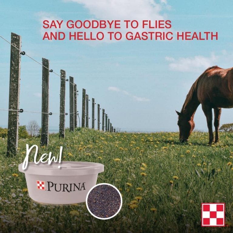 Purina EquiTub Supplement for Fly Control - Farmers Co-op