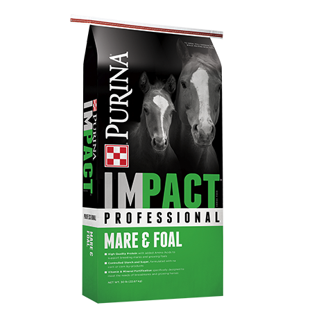 Purina Impact Professional Mare and Foal Horse Feed - Farmers Co-op