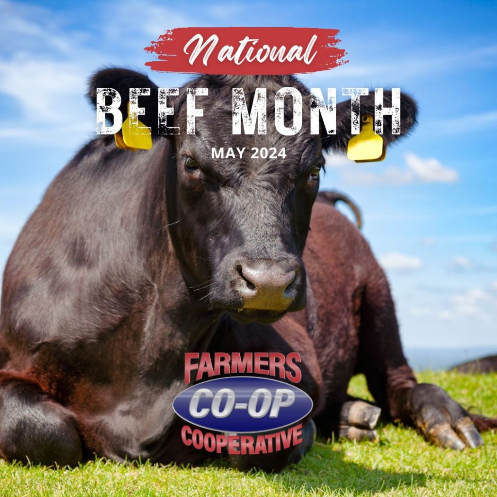 National Beef Month - Farmers Co-op