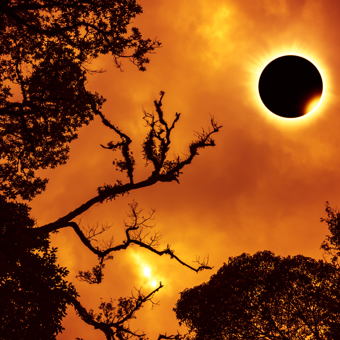 Total Eclipse of the Sun - Farmers Co-op